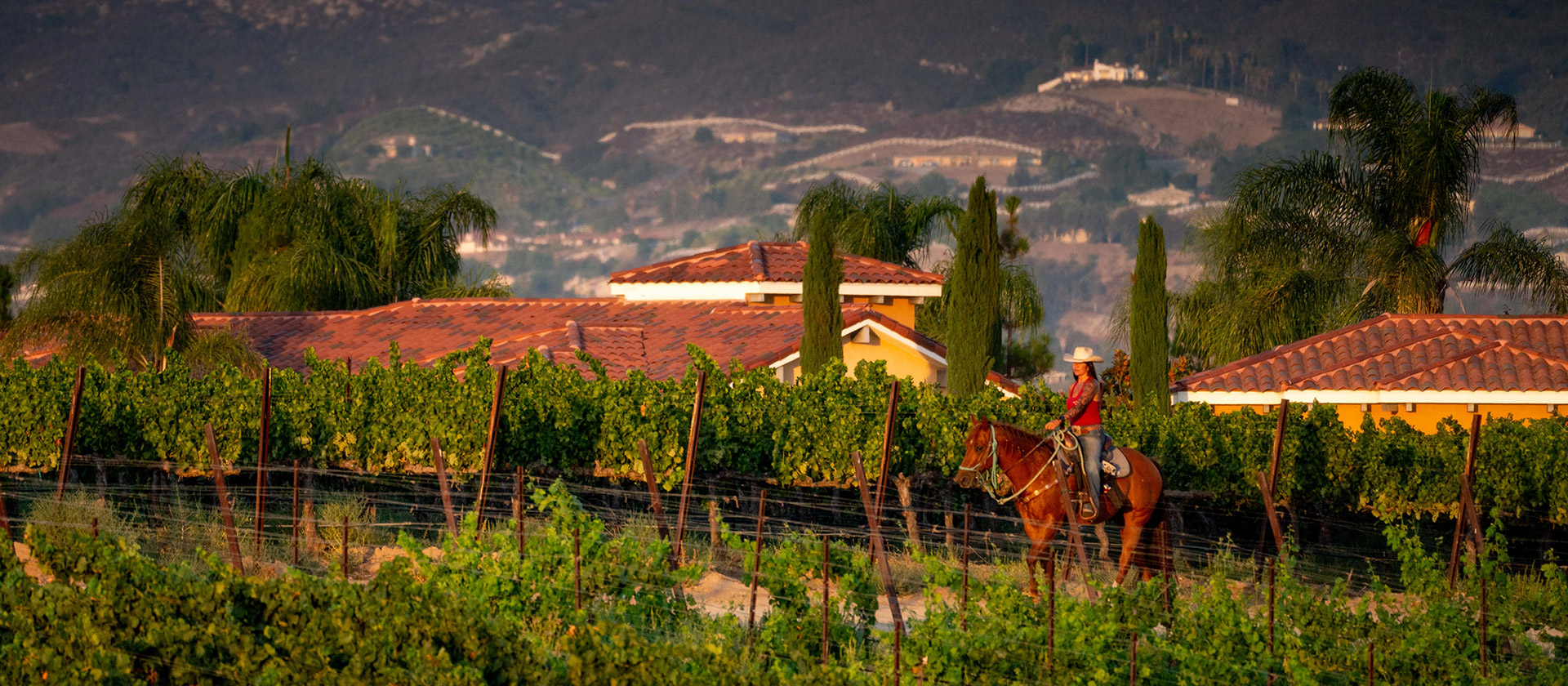 Contact Us | Carter Estate Winery and Resort