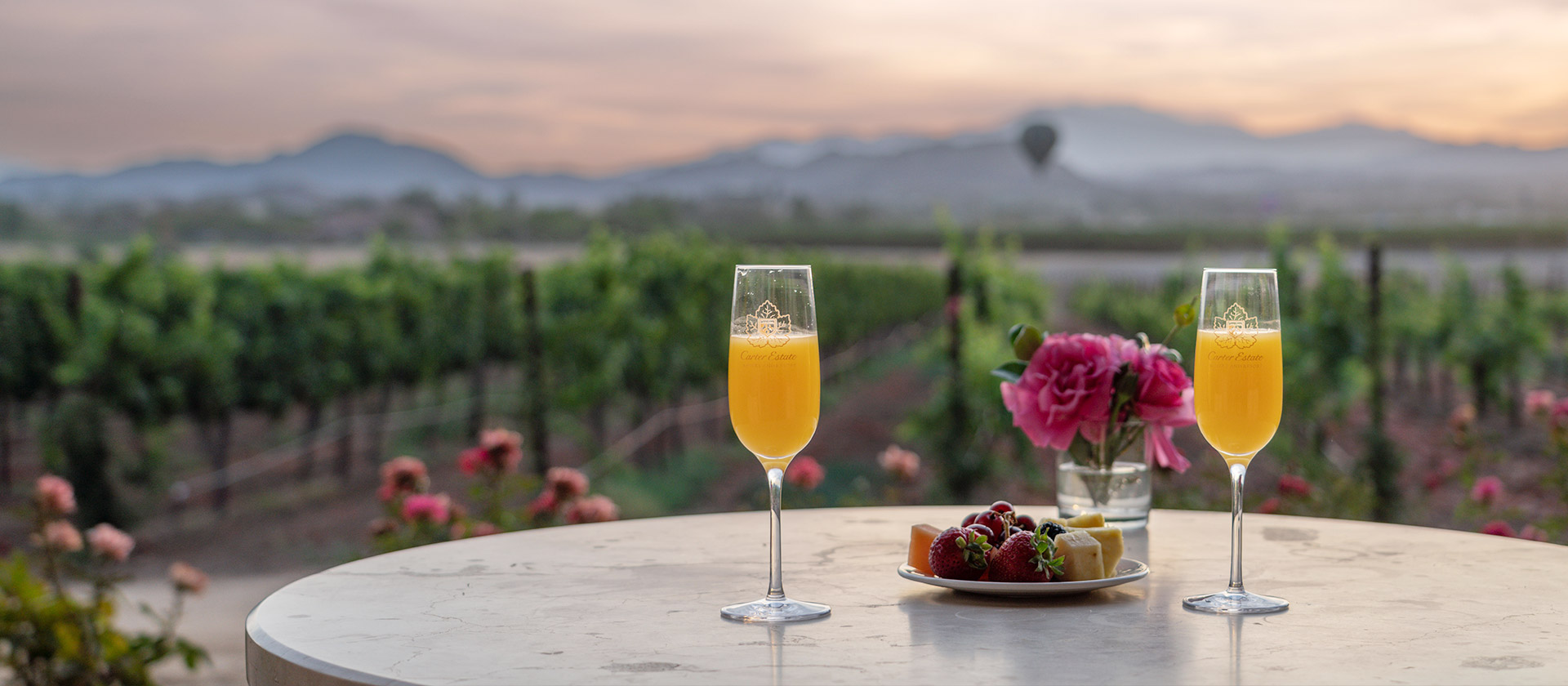 Frequently Asked Questions | Carter Estate Winery and Resort